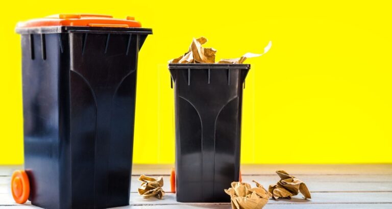 Waste Management Systems: Steps, Methods and Benefits | Reaction